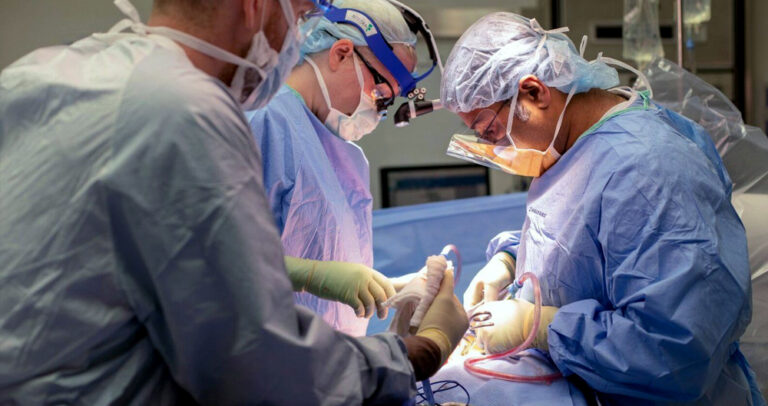 Options for Treating a Herniated Disc - Dr. Kevin Pauza, The Discseel ...
